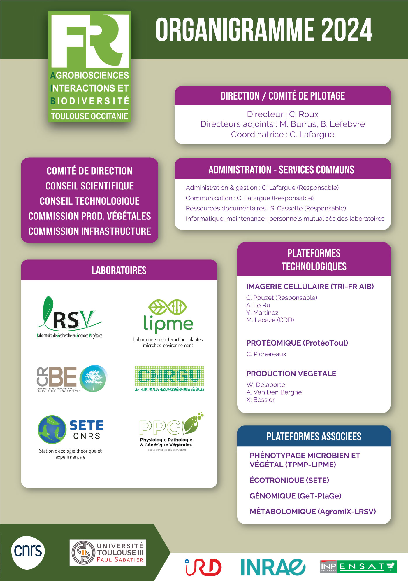 Organisation - FR AIB